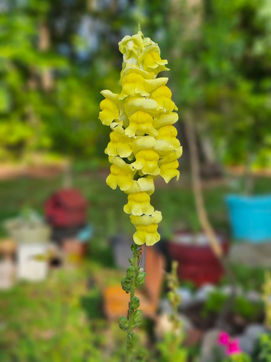 Offerings and Resources – marieproctor.com